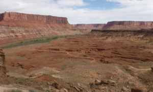 Unravelling the secrets of brine pools – Geobites