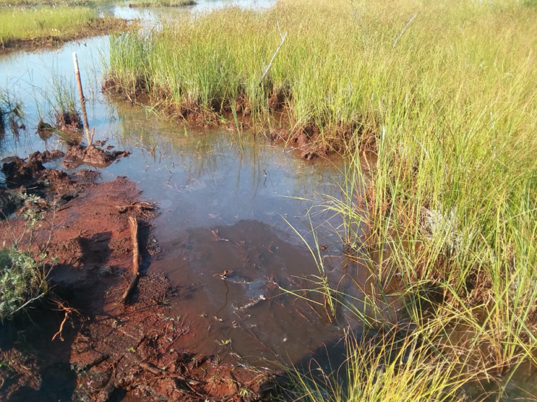 Metal-Eating Microbes Who Breathe Methane – Geobites