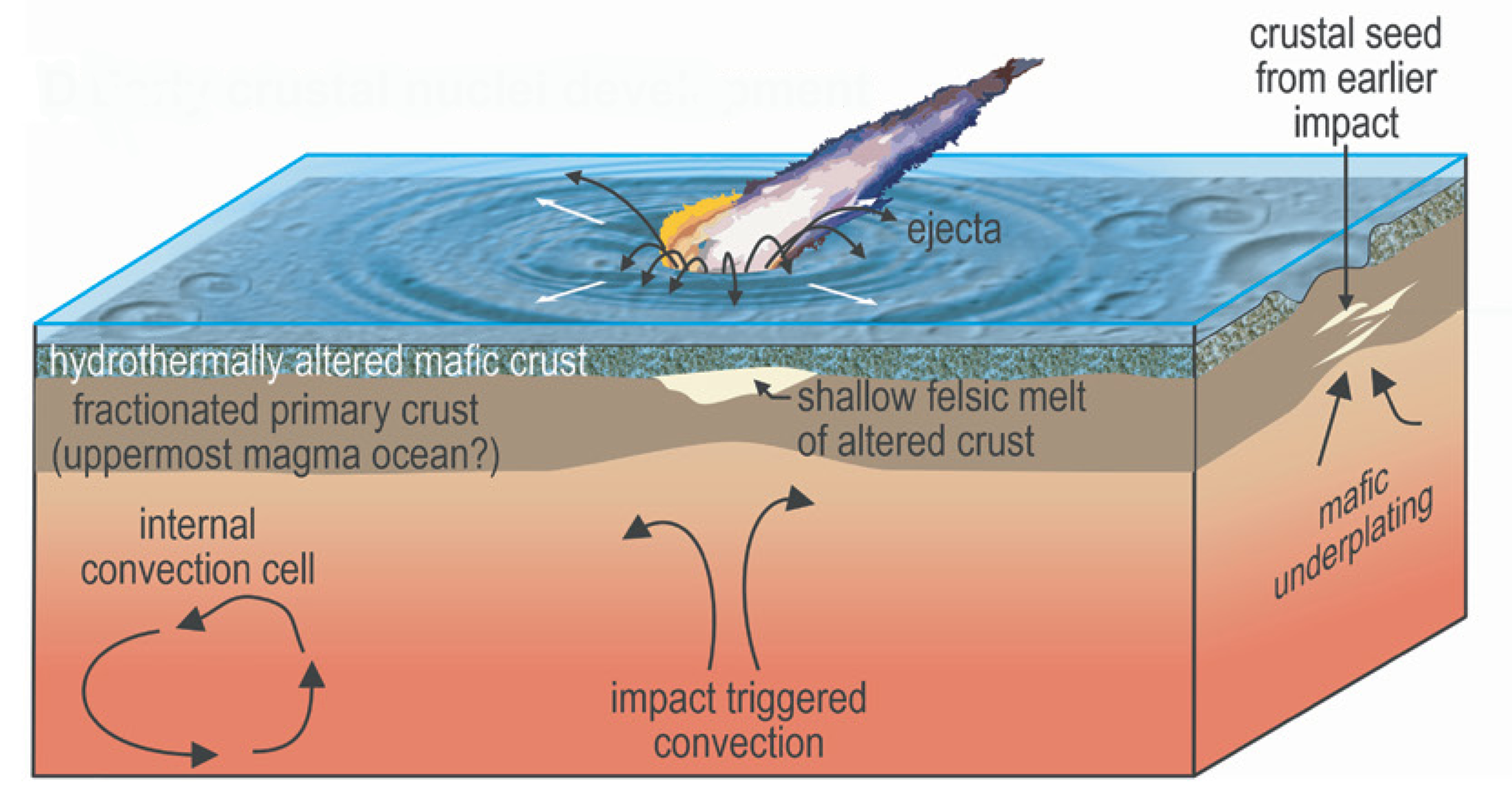 The seeds of continental crust – Geobites