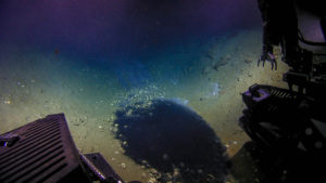 Unravelling the secrets of brine pools – Geobites
