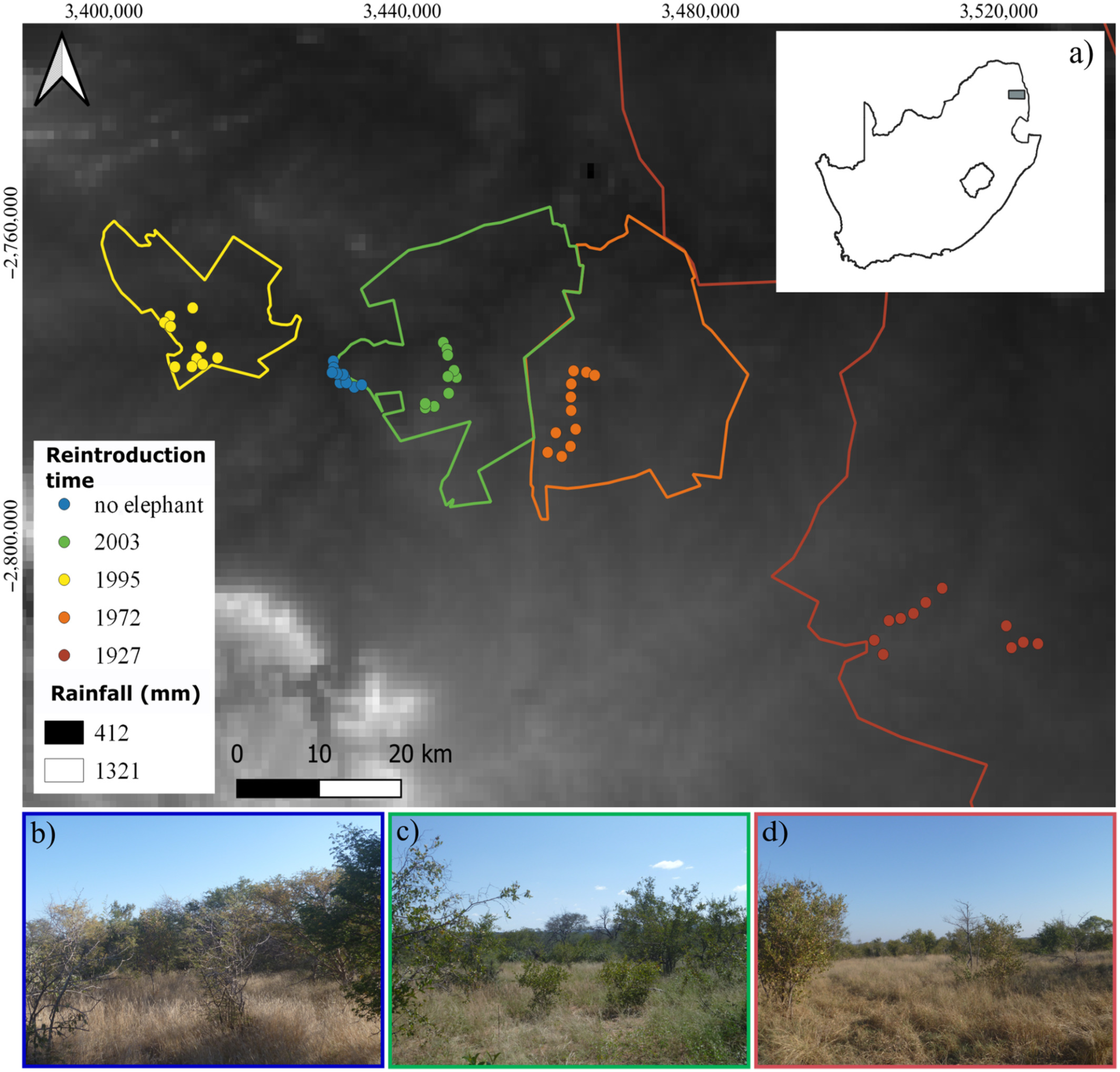 How Elephants Impact the Savannah of South Africa: A Case Study in ...